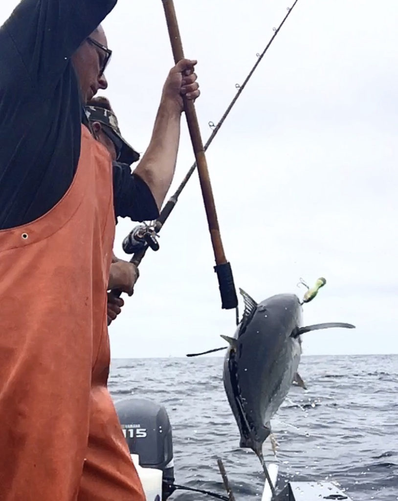 Paddy Hoppin and Popper Poppin By: Stan Kaplun – Fish Taco Chronicles